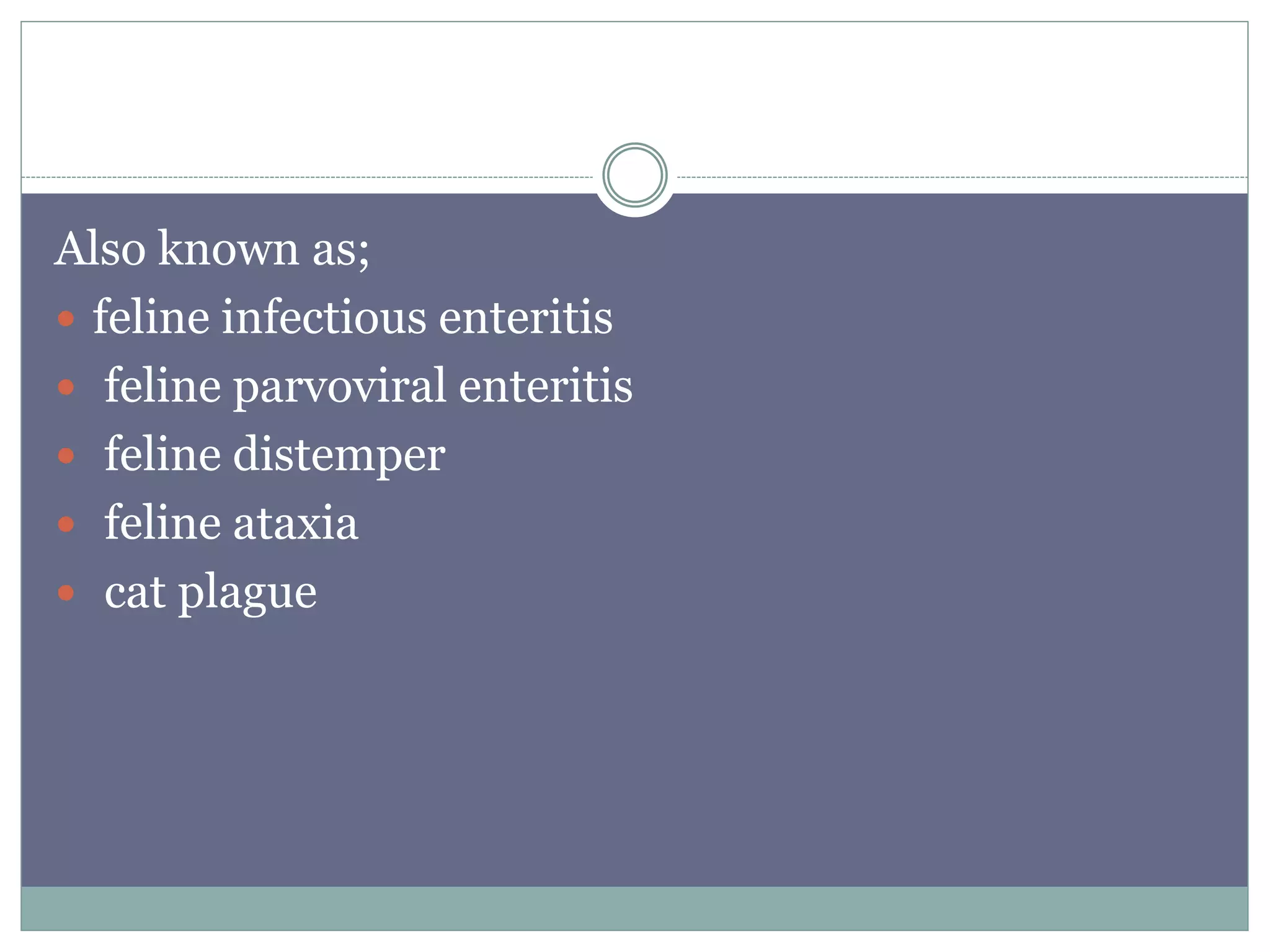Feline panleukopenia by Dr Nadir Khosa | PPTX
