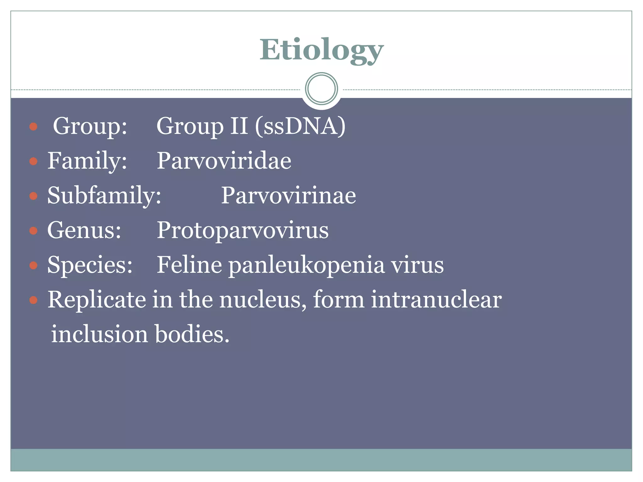 Feline panleukopenia by Dr Nadir Khosa | PPTX