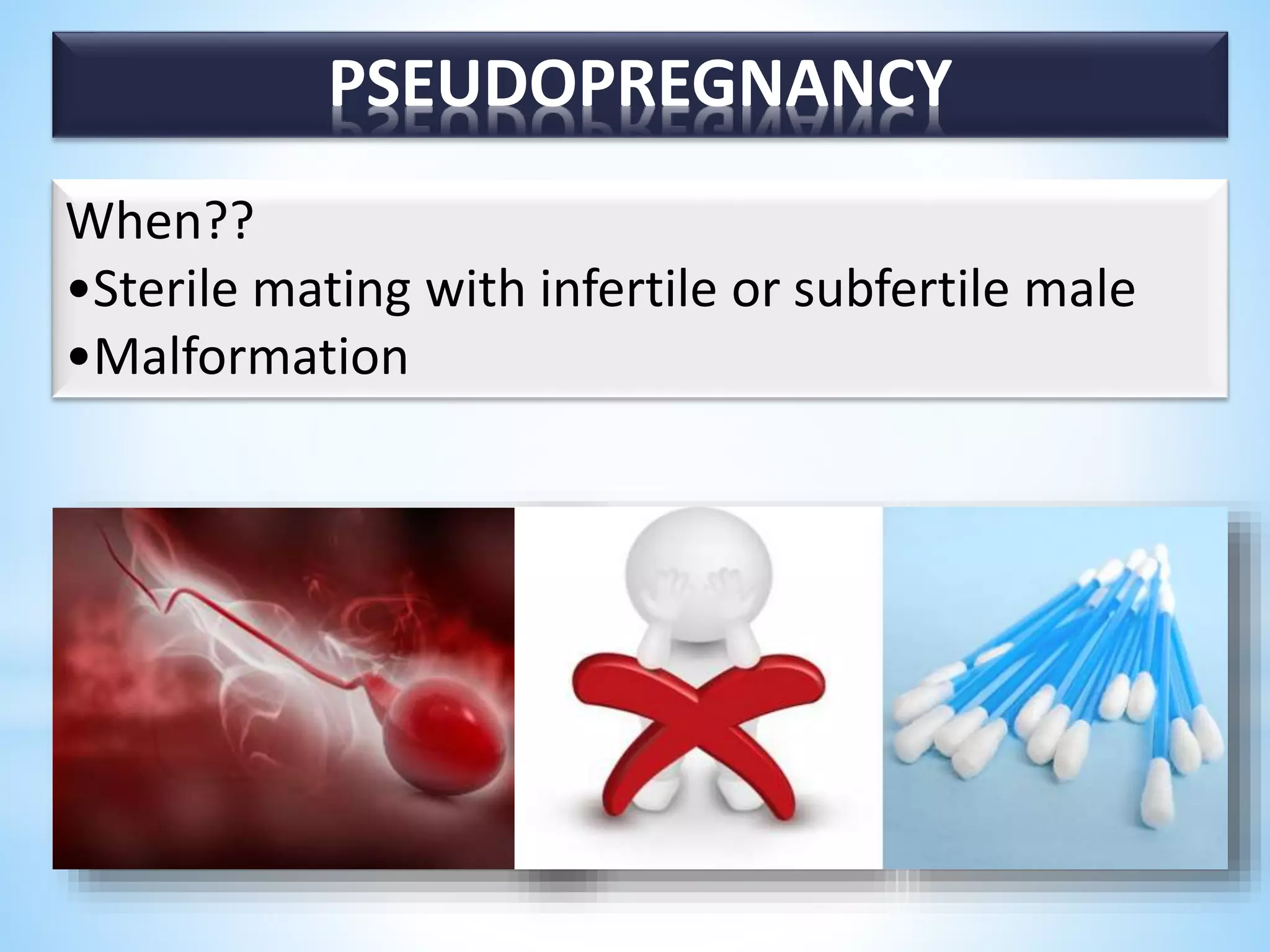 Feline reproduction and pregnancy | PPTX