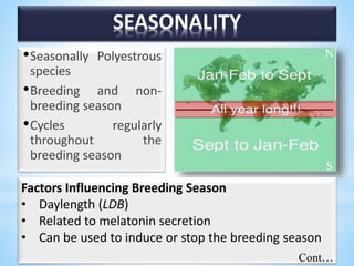 Feline reproduction and pregnancy | PPTX