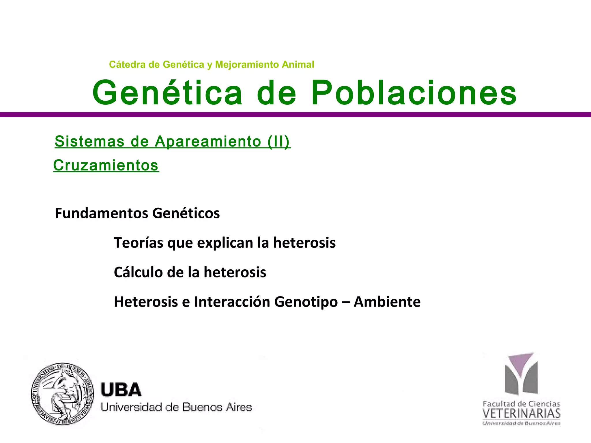 11 Cruzamientos | PPT | Genetics | Science