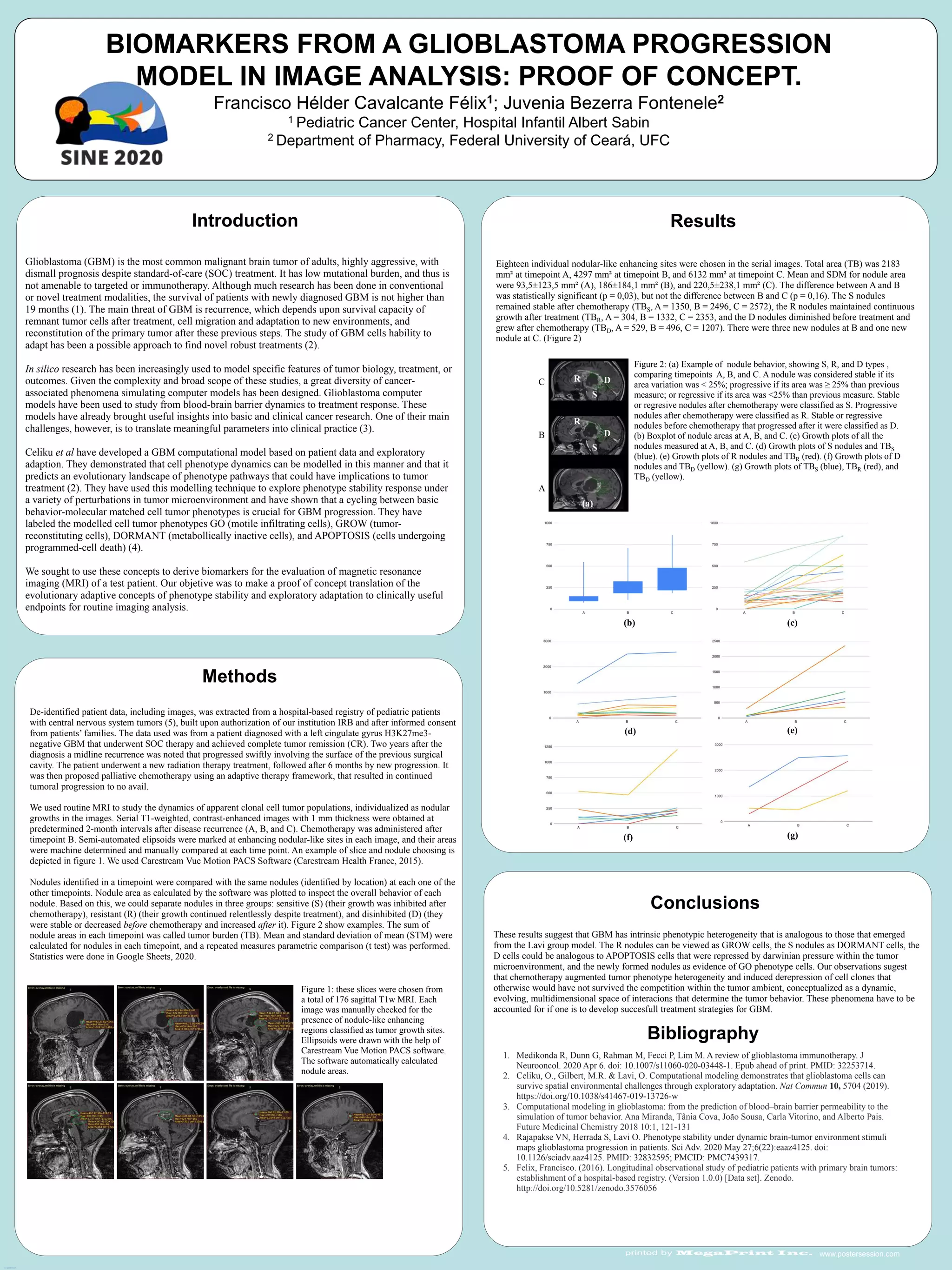 Biomarkers from a Glioblastoma Progression Model in Imagem Analysis ...