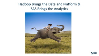 Accelerate Your Big Data Analytics Efforts with SAS and Hadoop | PPT