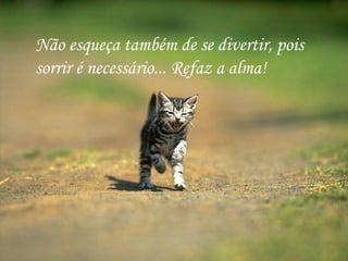 Feliz Metade Do Ano | PPS