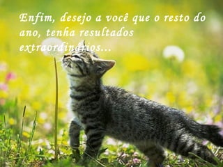 Feliz Metade Do Ano | PPS