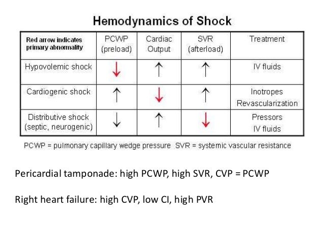 REVIEW OF HEMODYNAMIC MONITORING