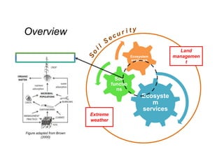 The Soil Security Programme Fellows Introduction | PPT