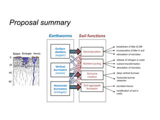 The Soil Security Programme Fellows Introduction | PPT