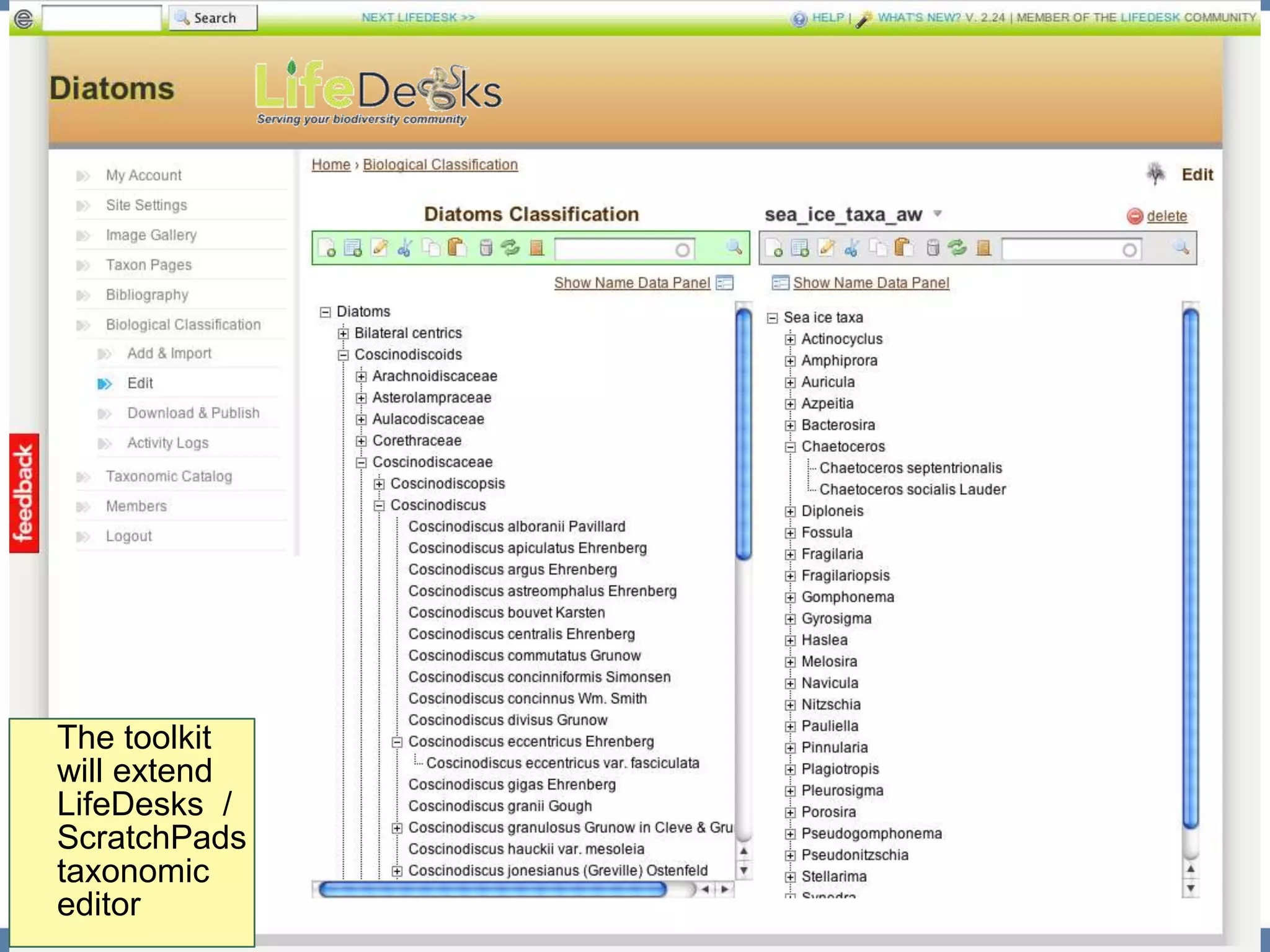 Classifications in EOL | PPT