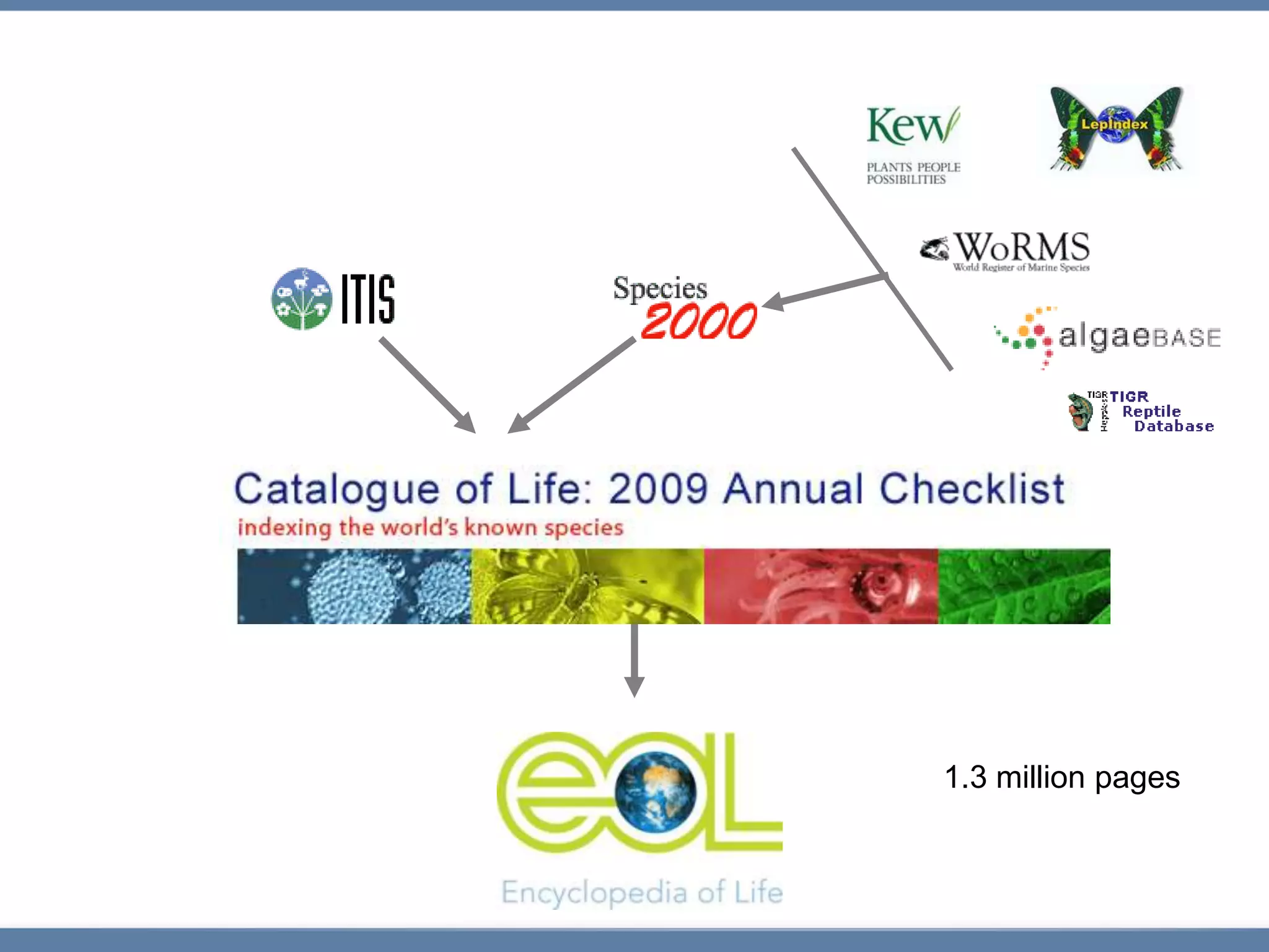Classifications in EOL | PPT