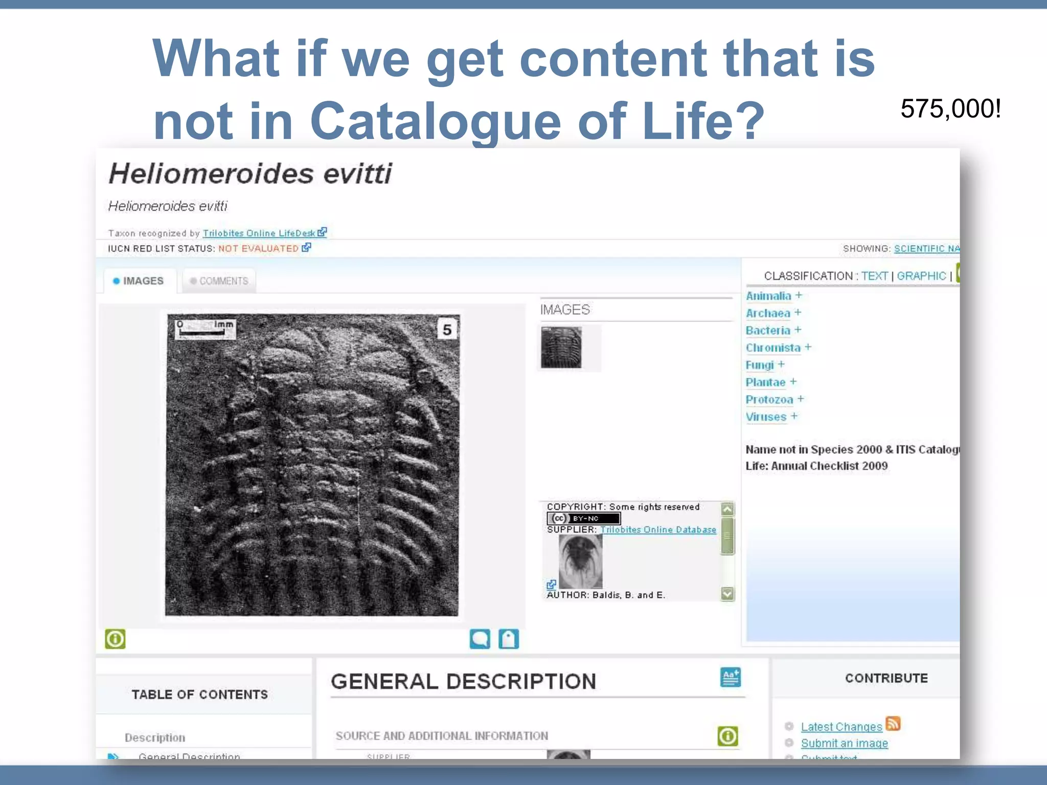 Classifications in EOL | PPT
