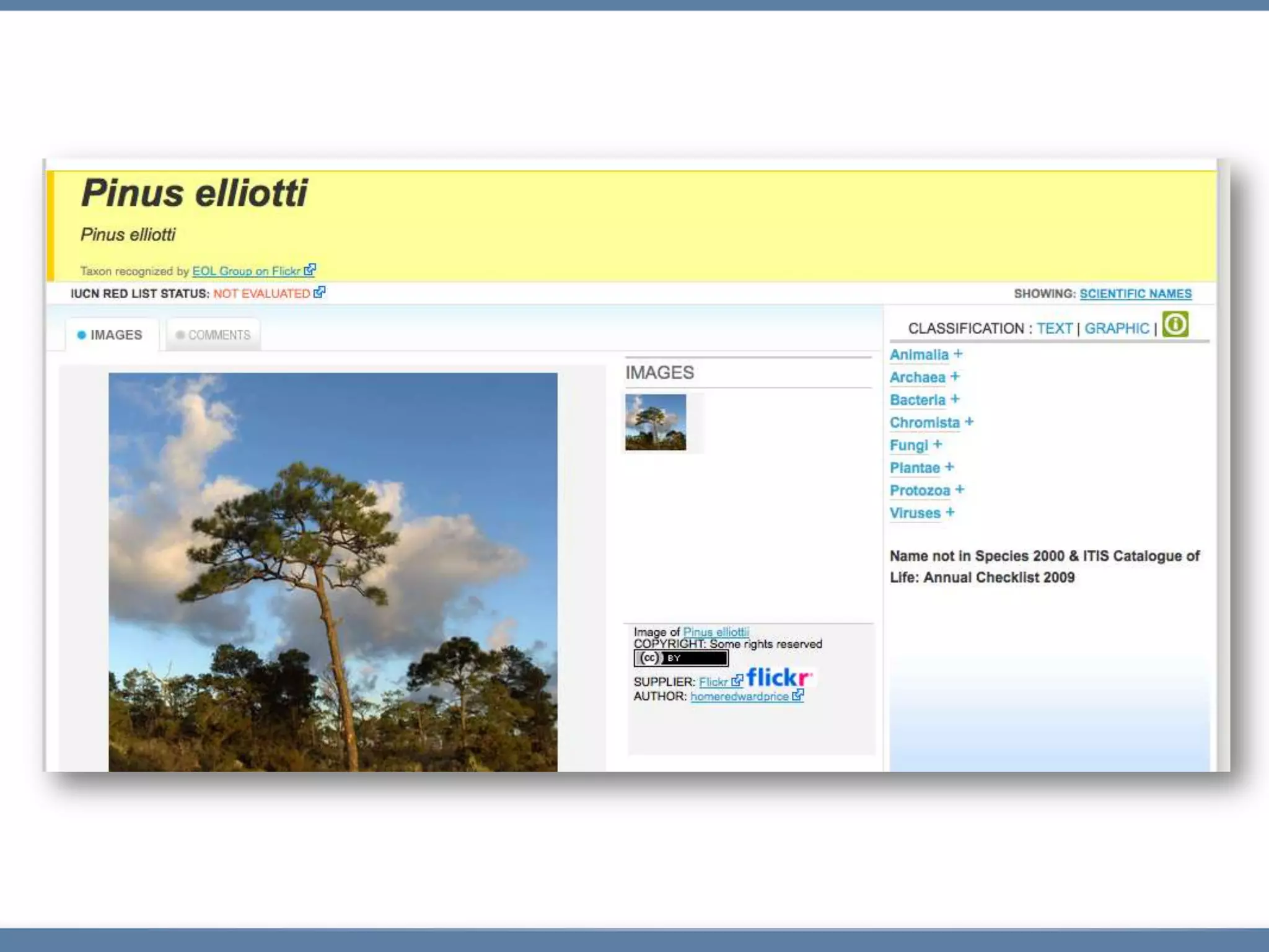 Classifications in EOL | PPT