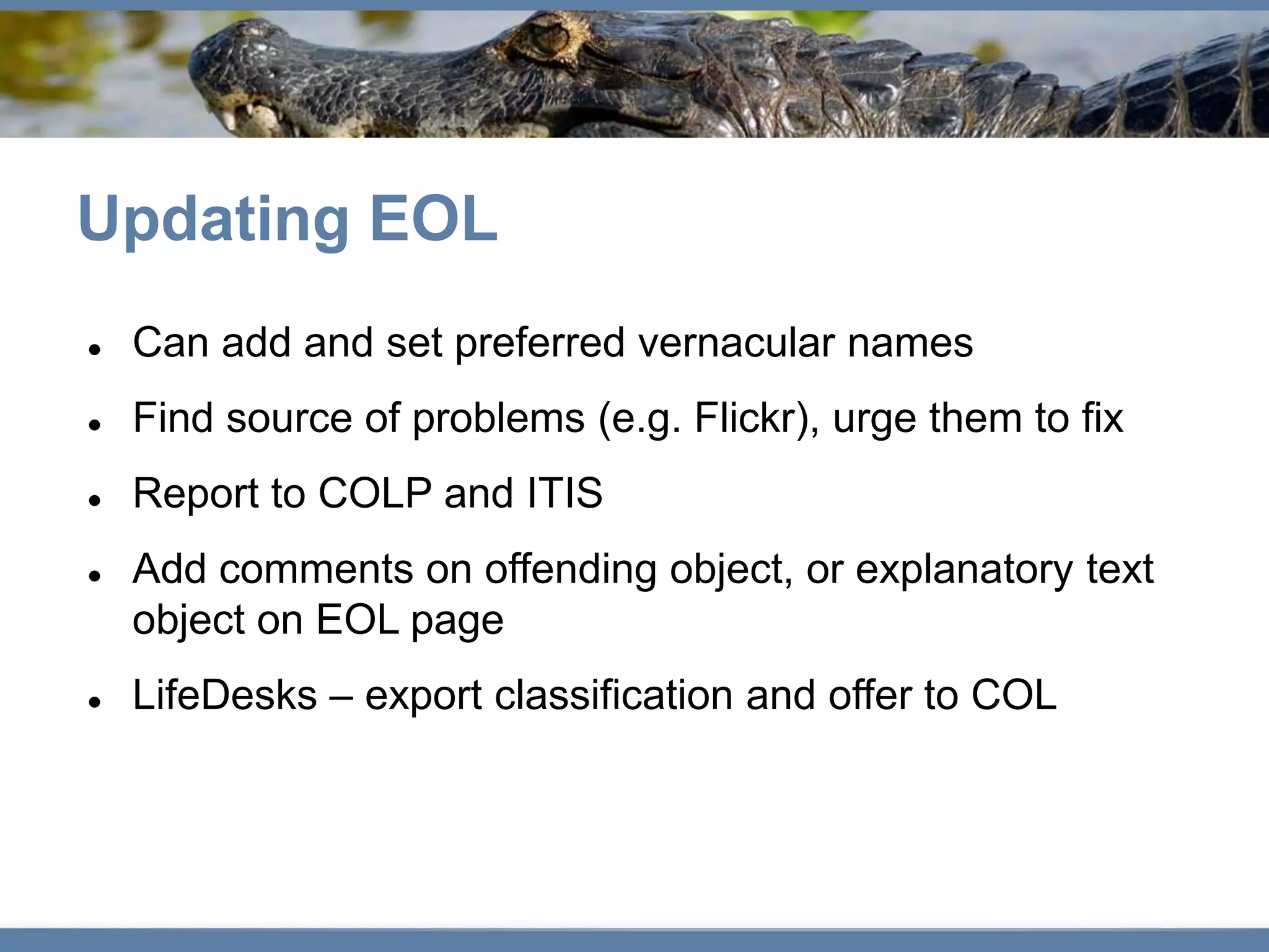Classifications in EOL | PPT