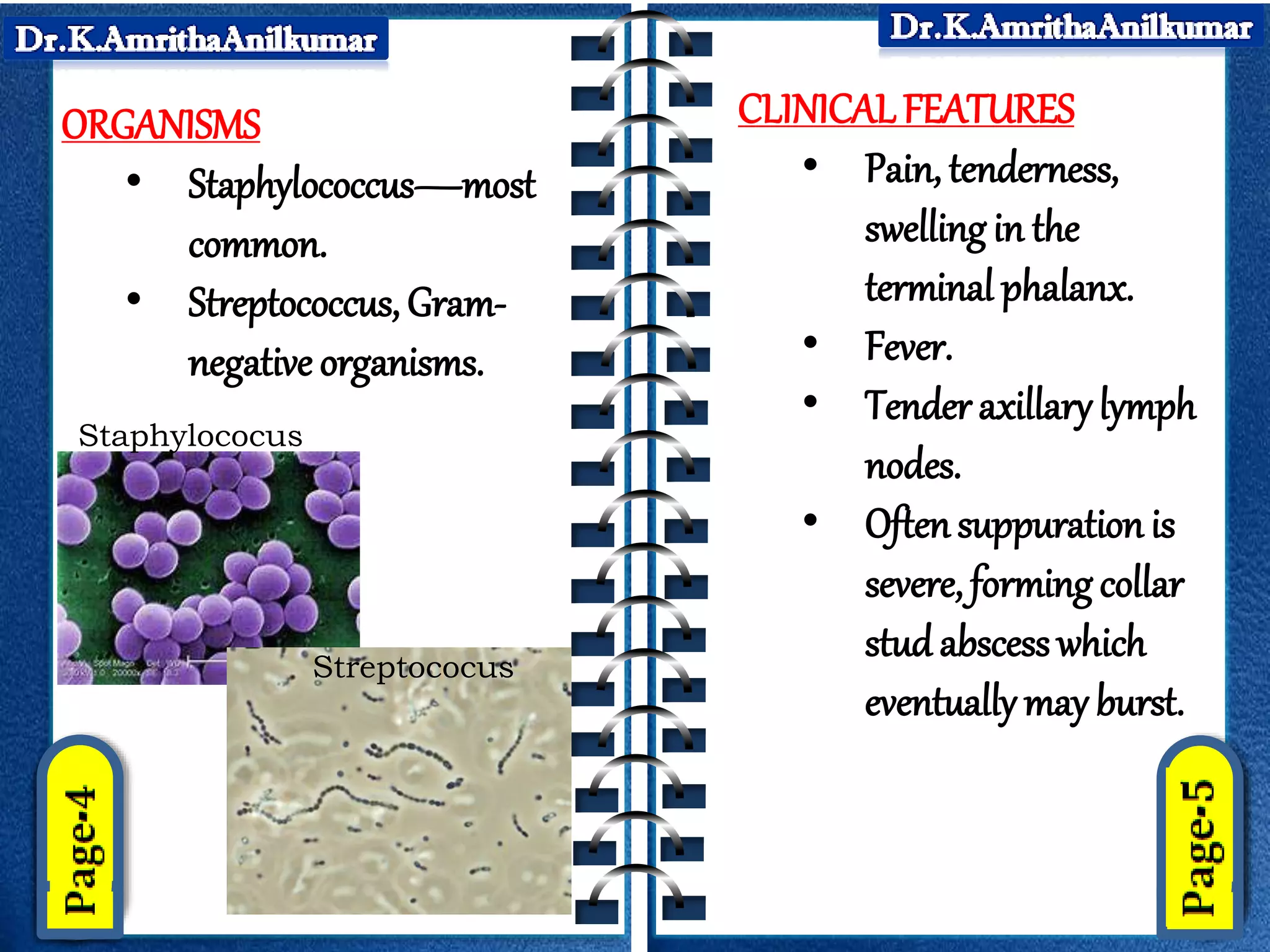 Felon or Terminal pulp infection by Dr.K.AmrithaAnilkumar | PPT