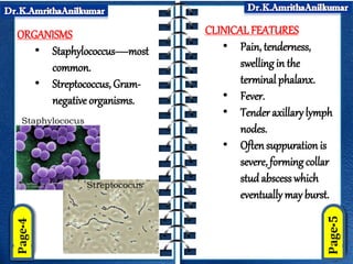 Felon or Terminal pulp infection by Dr.K.AmrithaAnilkumar | PPT
