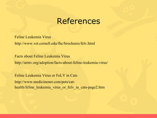 Feline Leukemia Virus (FeLV) | PPT