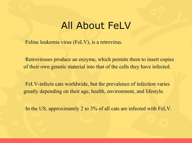 Feline Leukemia Virus (FeLV) | PPT | Infectious Diseases | Diseases and ...