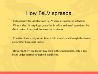 Feline Leukemia Virus (FeLV) | PPT