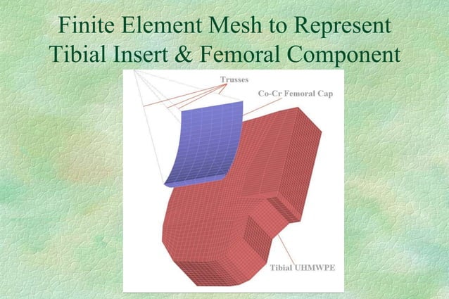 FEM-APPLICATION-BIOMECHANICS FE ANALYSIS (1).ppt | Physics | Science