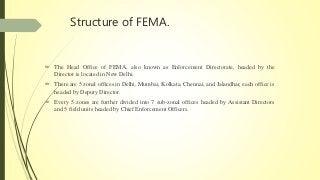 FEMA1999.pptx