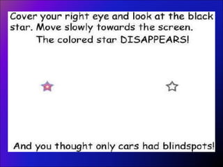 Blind spot in the eye | PPS