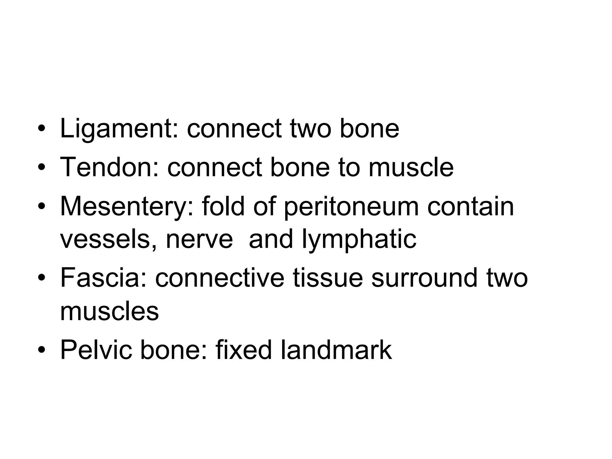 Female Genital Tract Anatomy Ppt