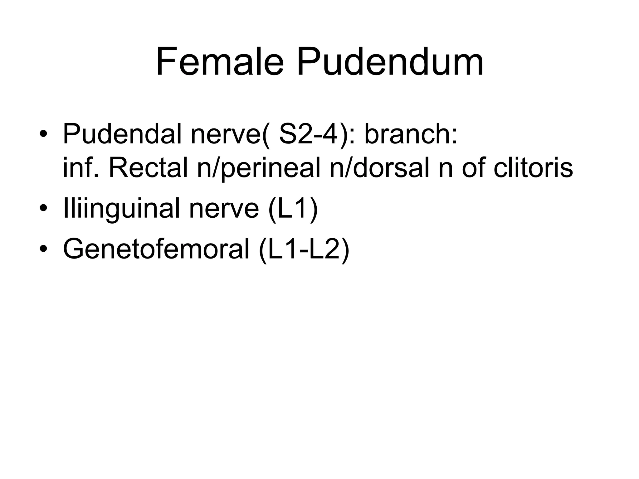 Female genital tract anatomy | PDF