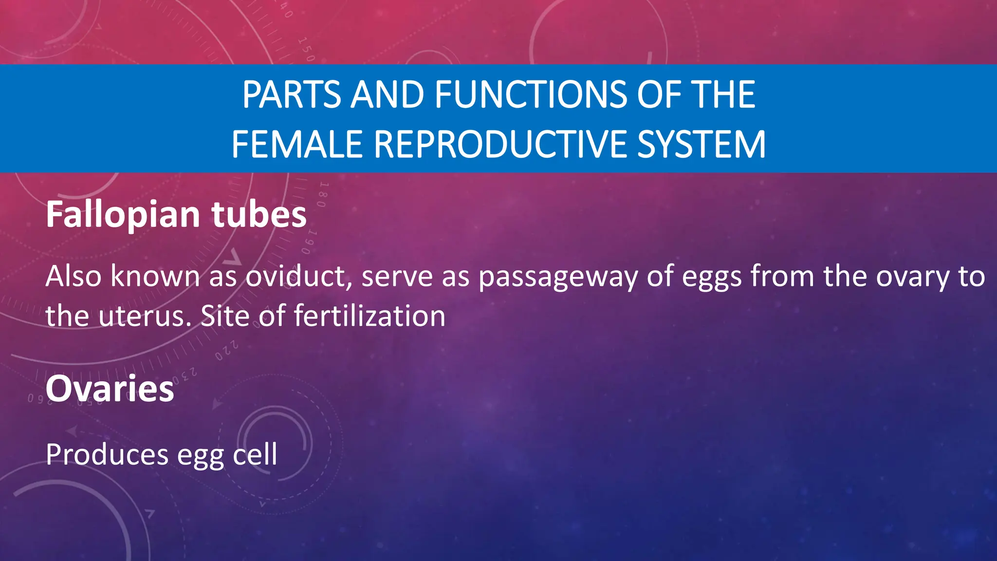 Female Reproductive System Lesson of Grade 9 in Biology | PPTX
