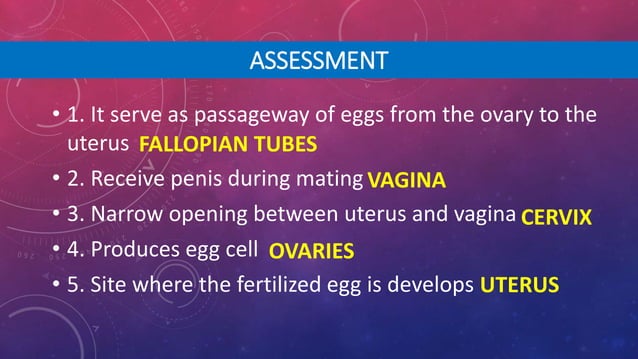 Female Reproductive System Lesson of Grade 9 in Biology | PPTX ...