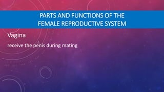 Female Reproductive System Lesson of Grade 9 in Biology | PPTX