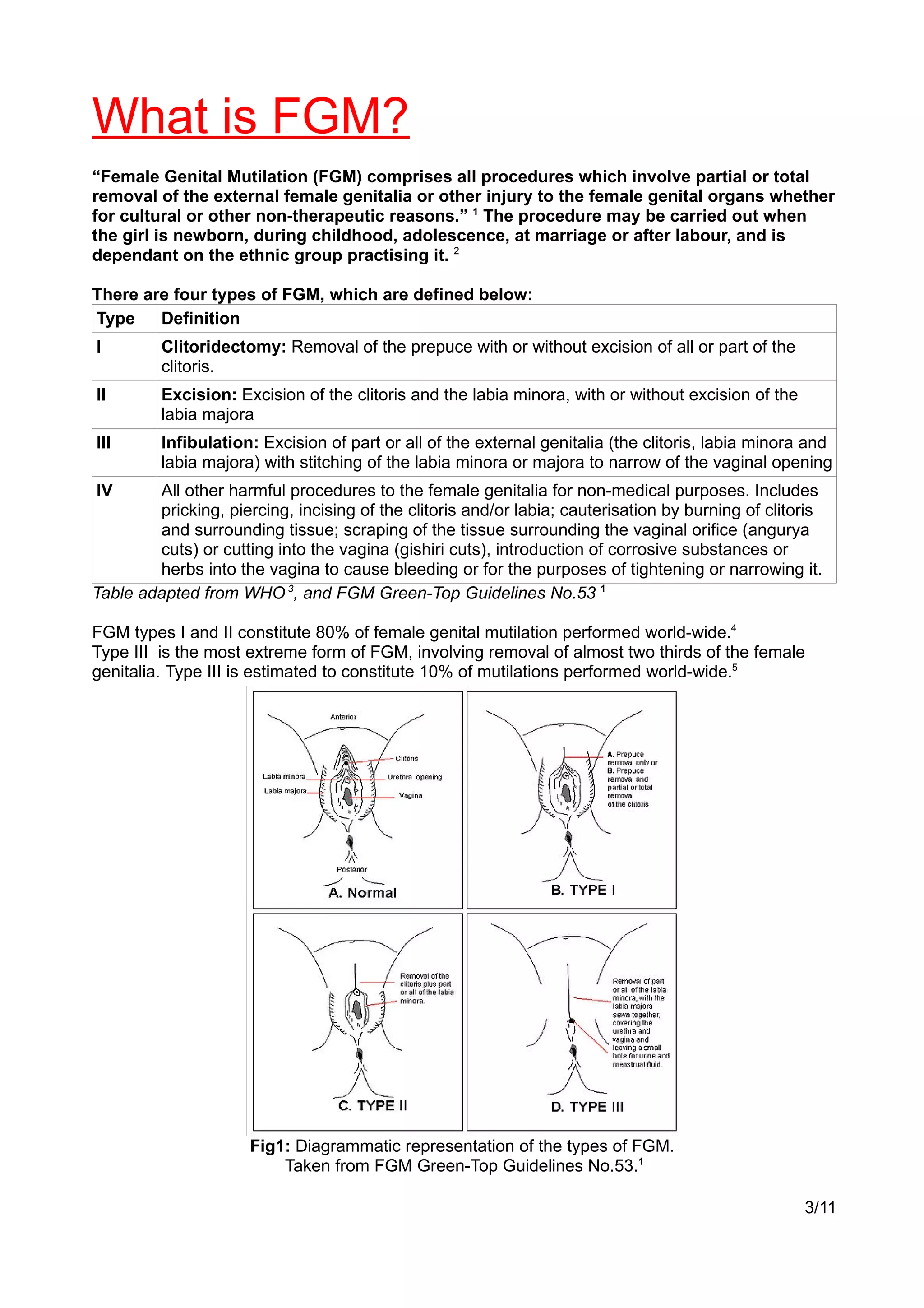 Female Genital Mutilation for Healthcare Professionals | PDF