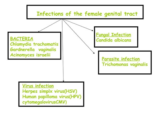 female genital tract infection | PPT | Sexual Conditions | Sexual Health