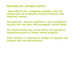 female genital tract infection | PPT