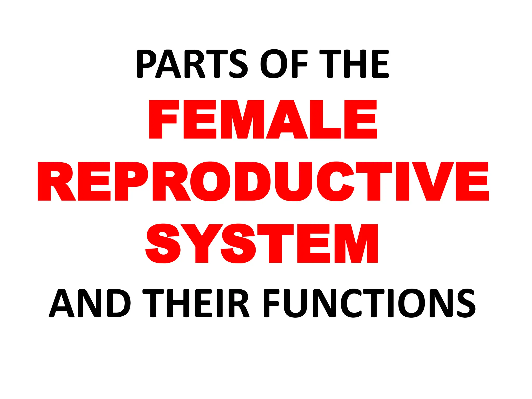 Female Reproductive System and Functions | PPTX