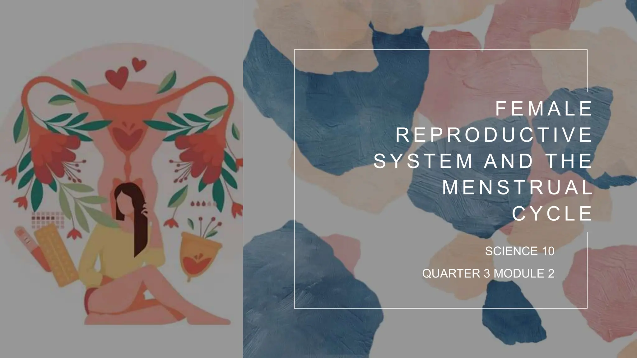 Female-reproductive-system-and-the-menstrual-cycle (1).pptx
