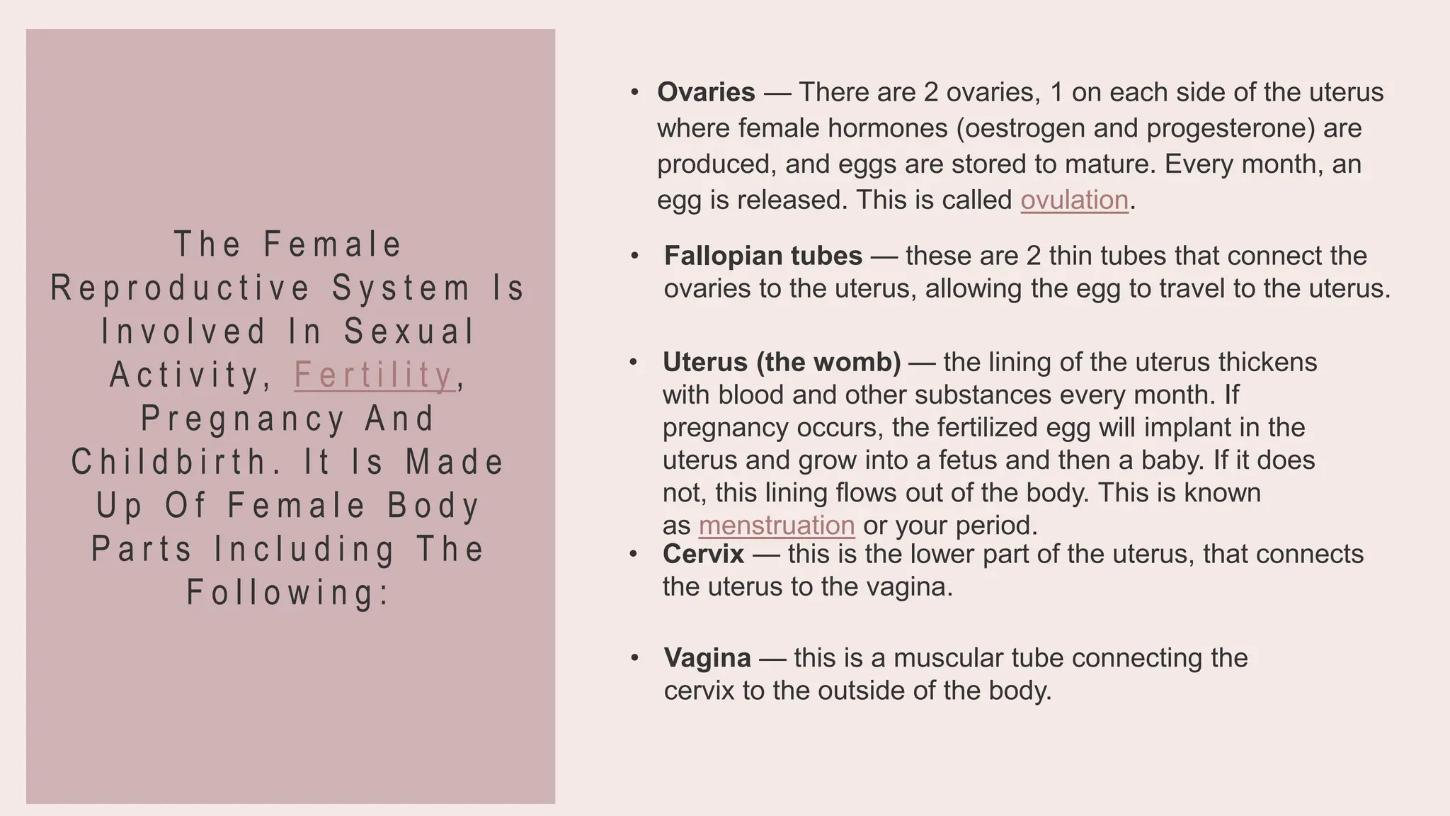 Female-reproductive-system-and-the-menstrual-cycle (1).pptx | Menopause ...