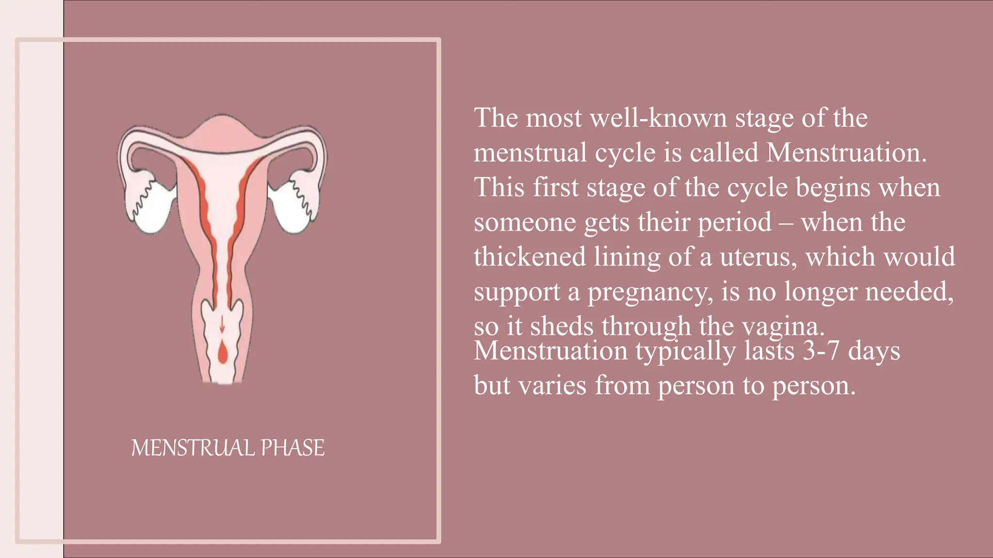 Female-reproductive-system-and-the-menstrual-cycle (1).pptx | Menopause ...