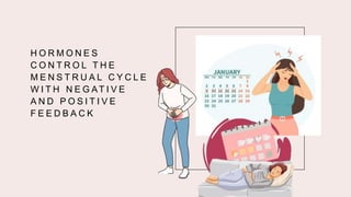 Female-reproductive-system-and-the-menstrual-cycle (1).pptx | Menopause ...