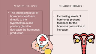 Female-reproductive-system-and-the-menstrual-cycle (1).pptx | Menopause ...