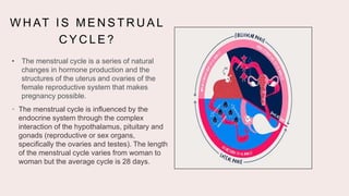Female-reproductive-system-and-the-menstrual-cycle (1).pptx | Menopause ...