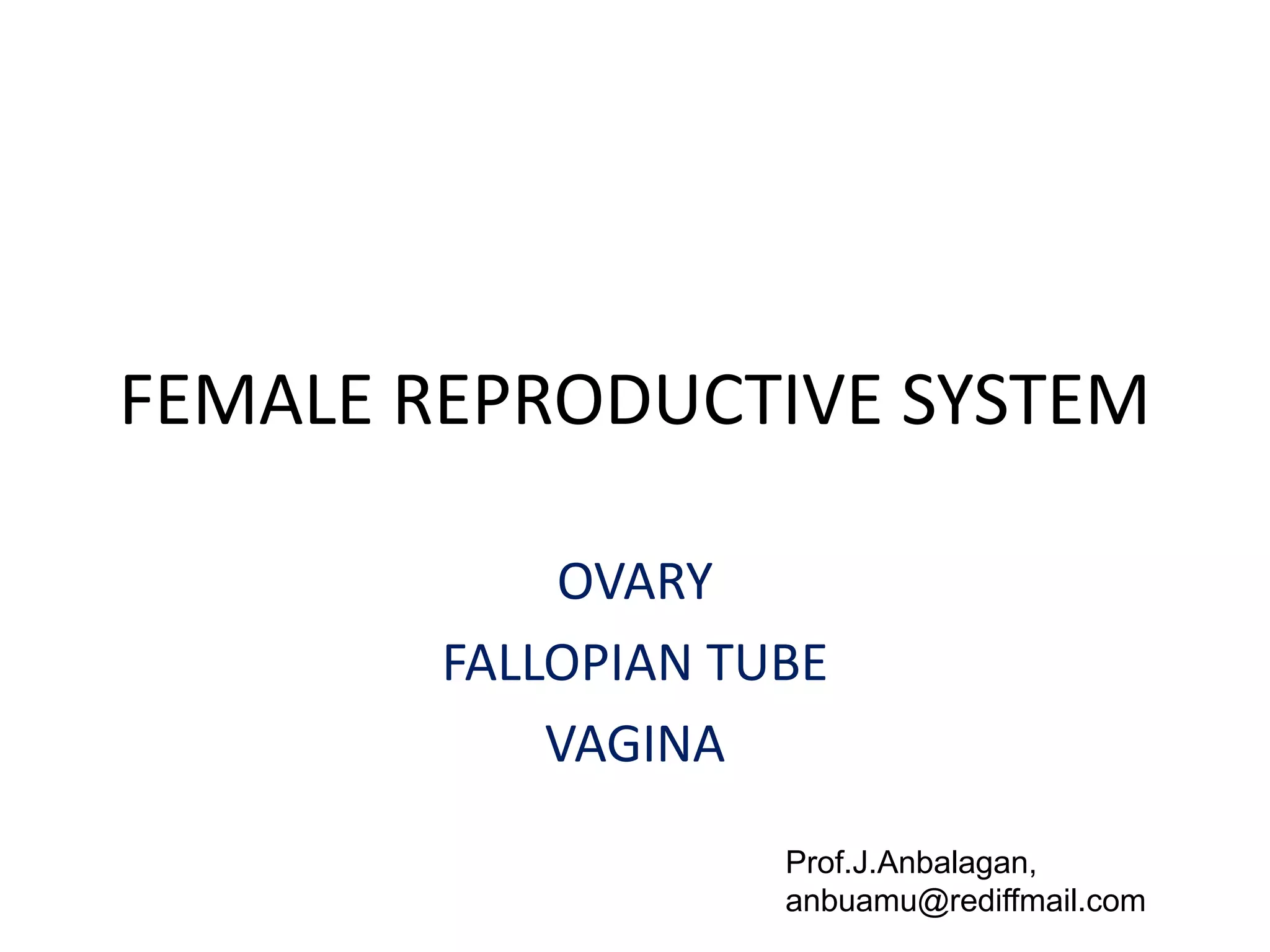 Female reproductive system1 copy | PDF