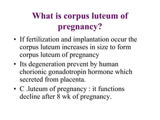 Female reproductive system | PPTX