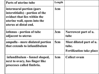 Female reproductive system | PPTX