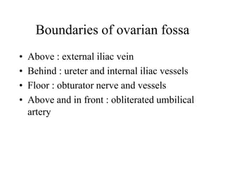 Ovarian Fossa