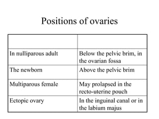 Ovarian Fossa