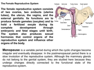 Female2 | PDF