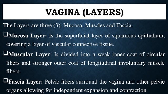 FEMALE ANATOMY AND Physiology ND1-1.pptx