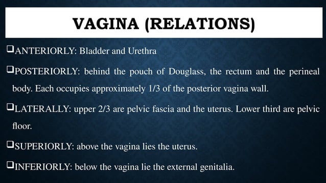 FEMALE ANATOMY AND Physiology ND1-1.pptx