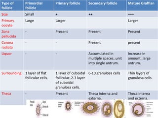 Female and urinary | PPT
