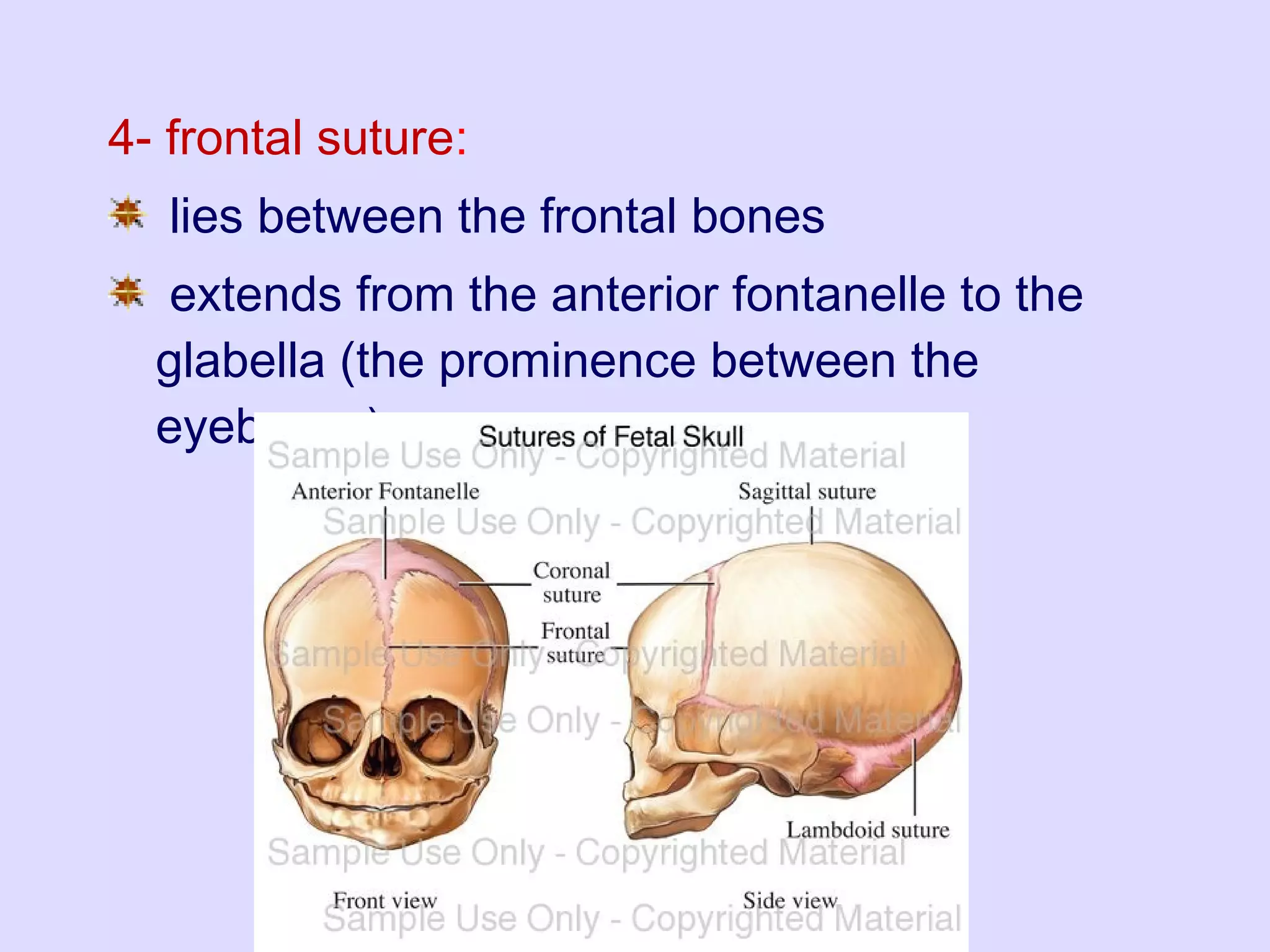 Female bony pelvis and fetal skull for undergraduate | PPT